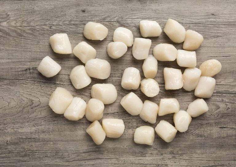 Scallops - Eastern Fisheries