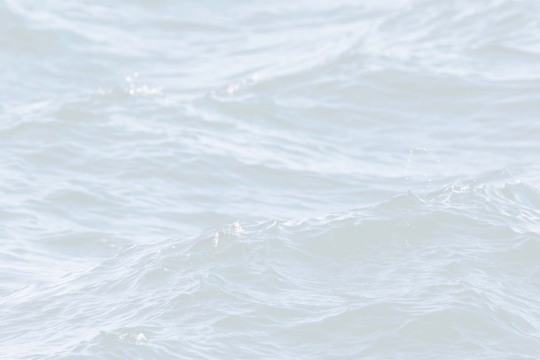 BG-Ocean-Light - Eastern Fisheries